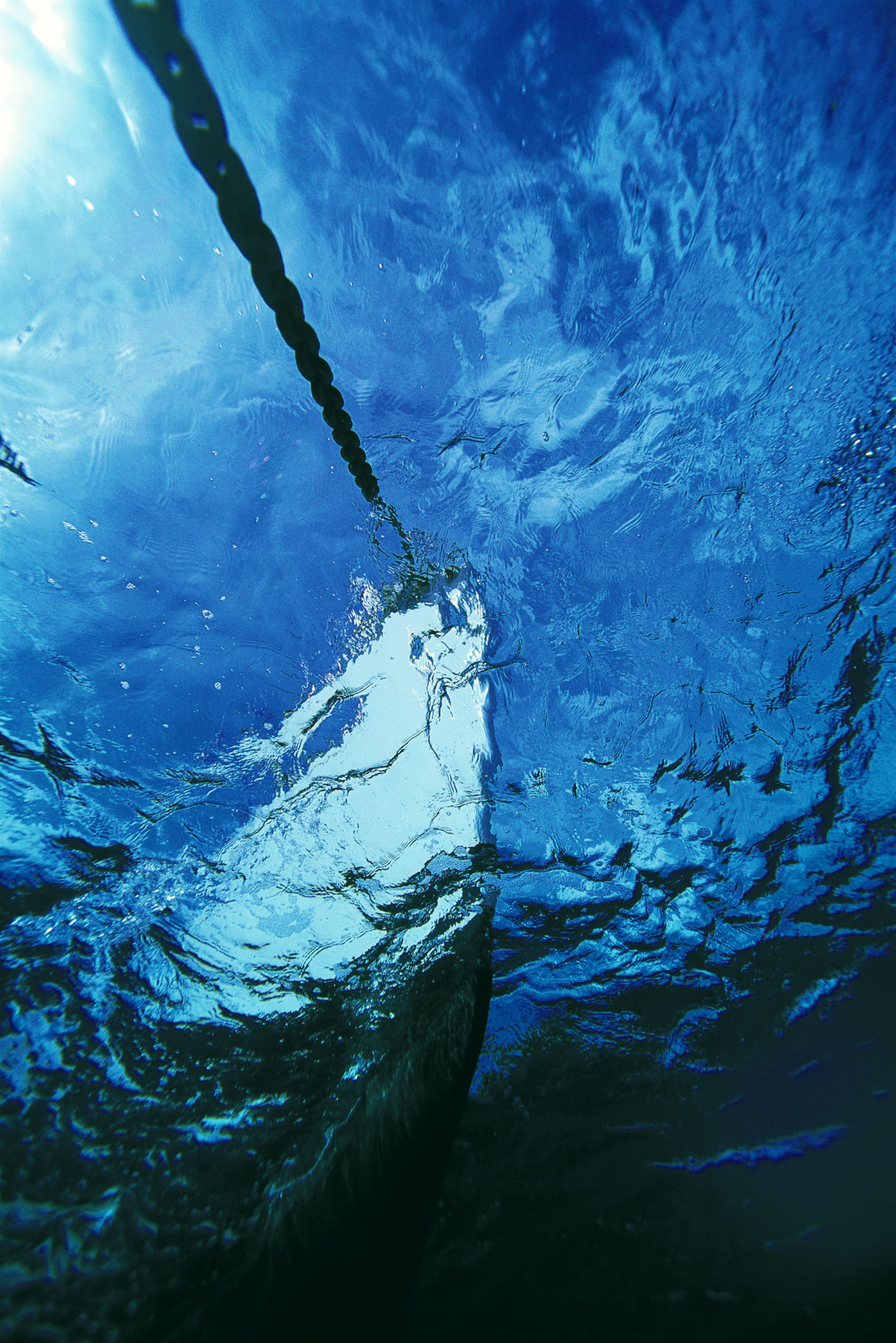 G83 - Shaman Bow Underwater - Onne van der Wal