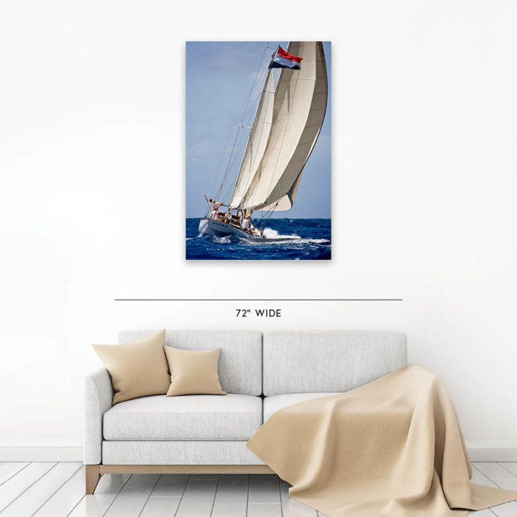 G268 - Alert - Onne van der Wal